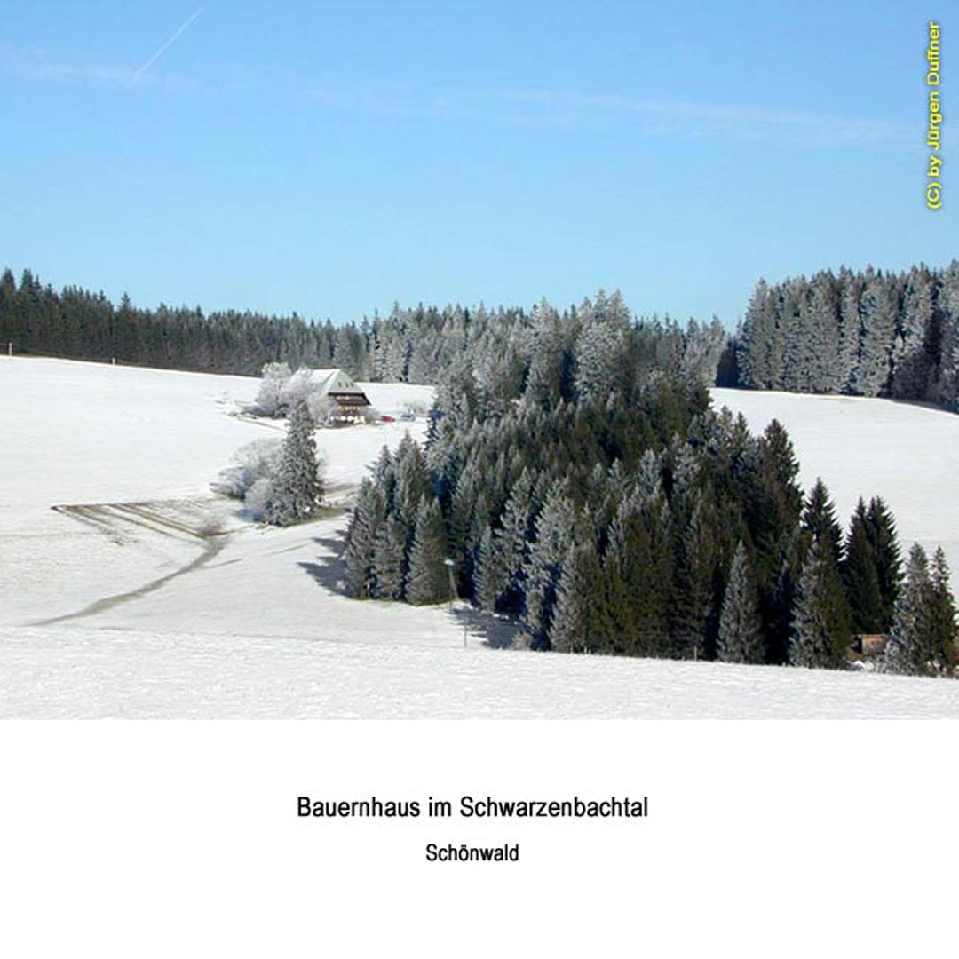 Landschaften um Triberg