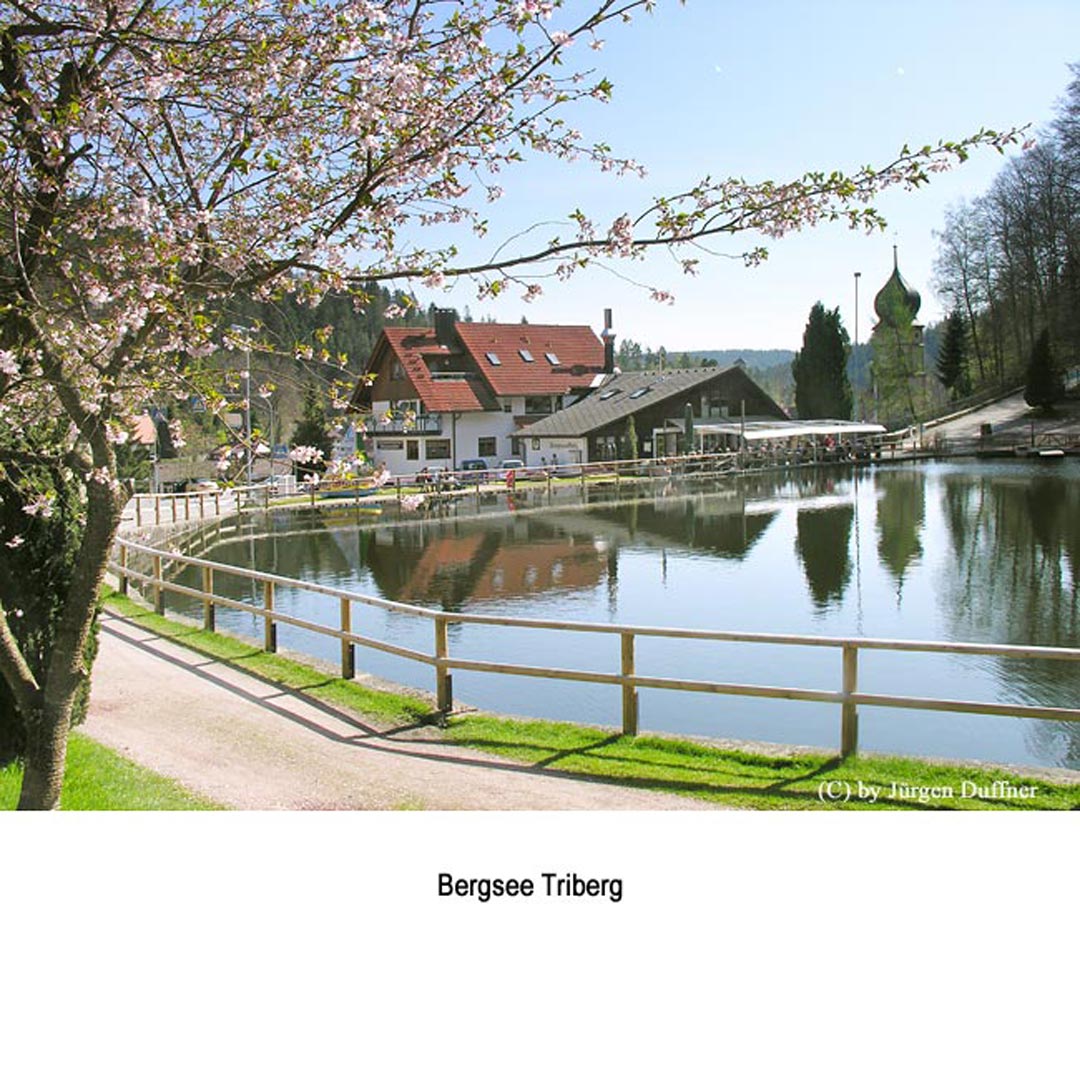 Landschaften um Triberg