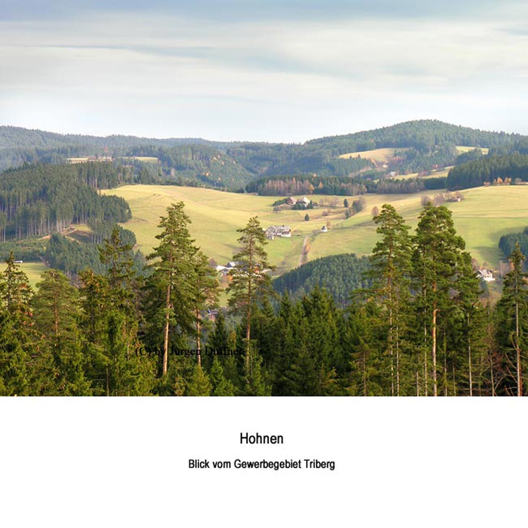 Landschaften um Triberg