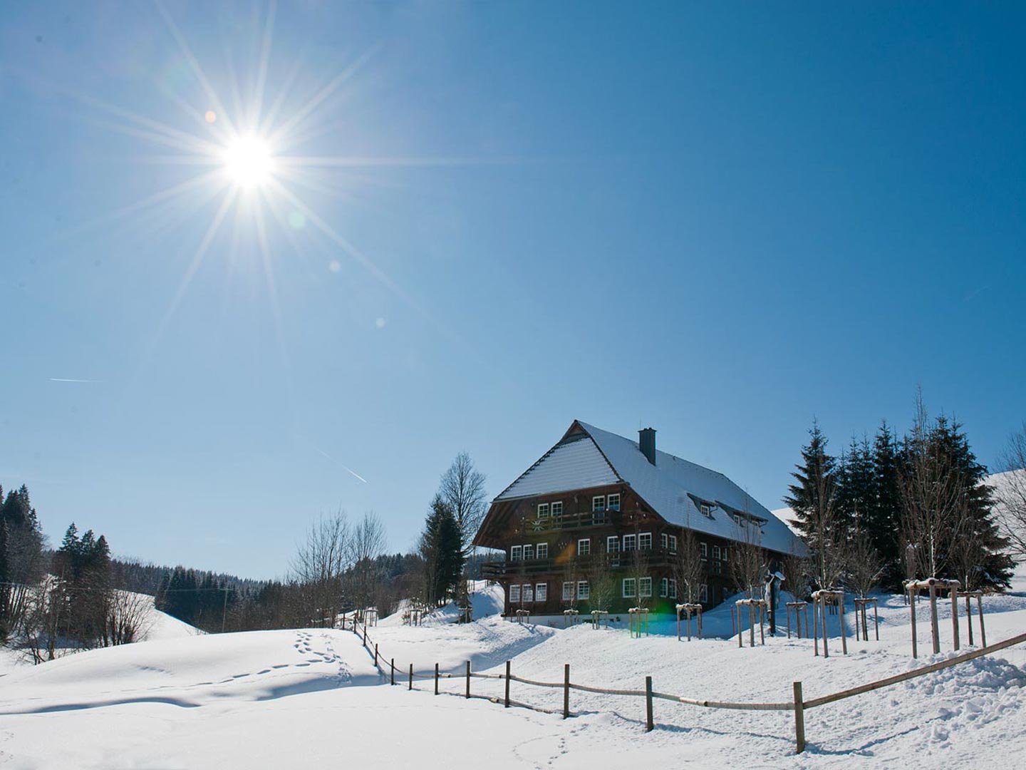 Landschaften um Triberg