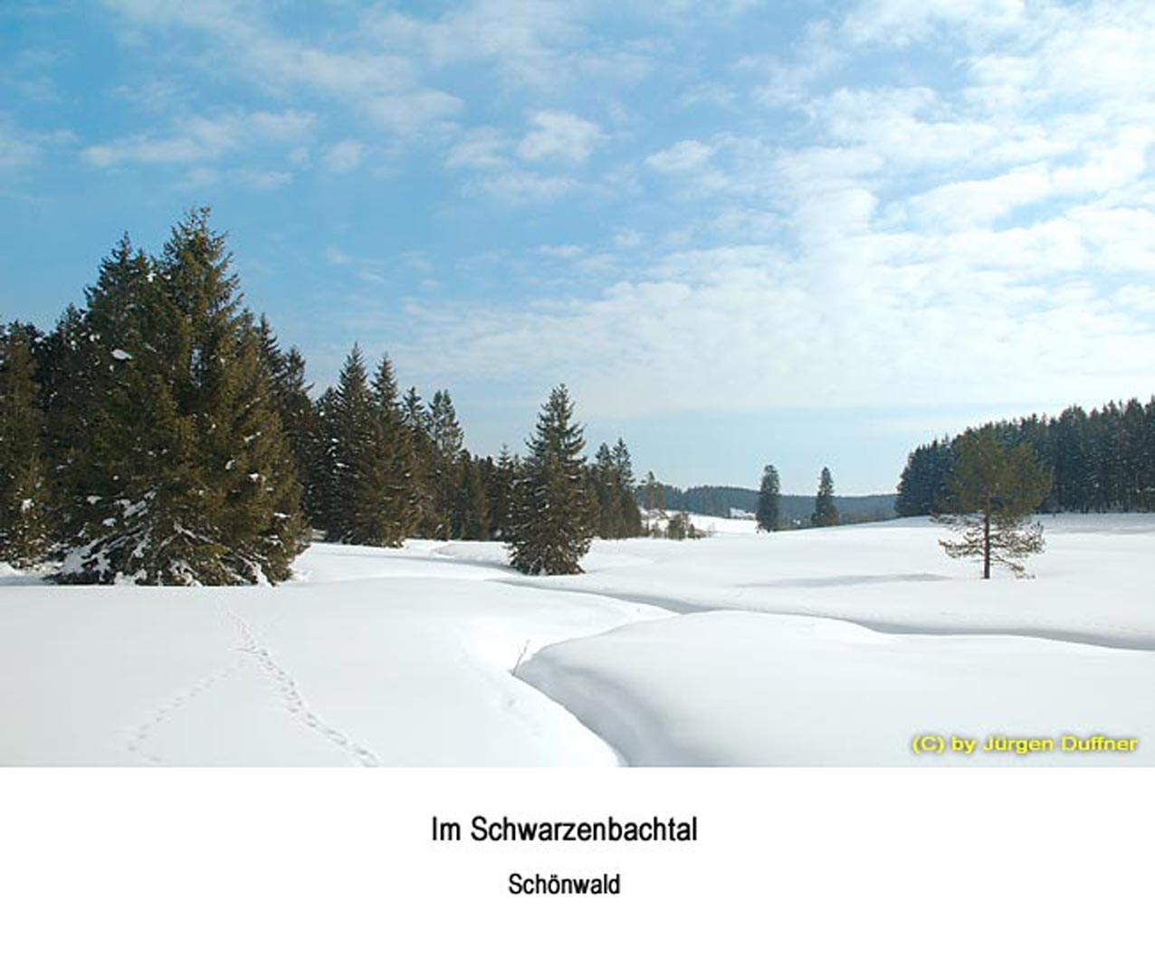 Landschaften um Triberg