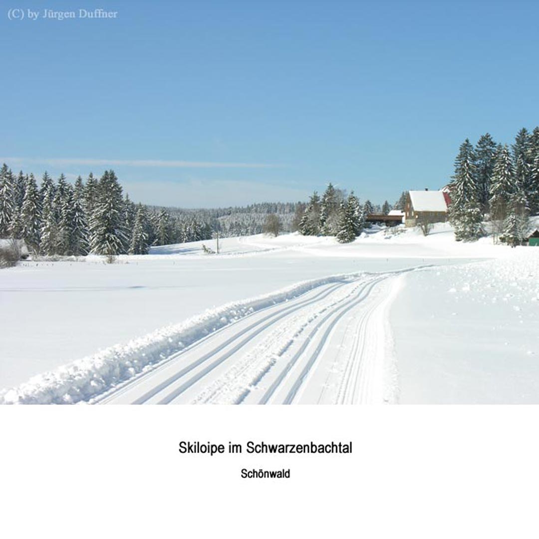 Landschaften um Triberg